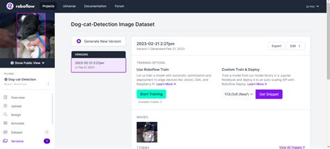 Pytorch YOLOv 自定义资料训练 大大通 简体站