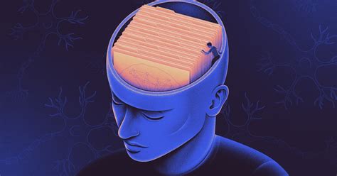 Where Does The Brain Store Each Type Of Memory