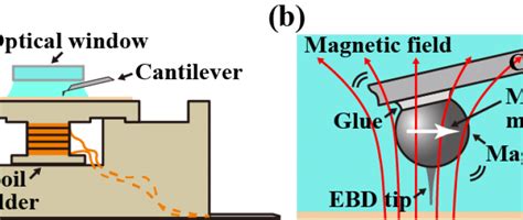 High Sensitivity Atomic Force Microscopy Opens Up For Photosensitive Materials