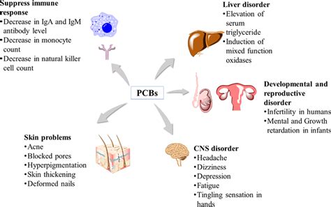 Health Impacts Of Pcbs To Humans Download Scientific Diagram