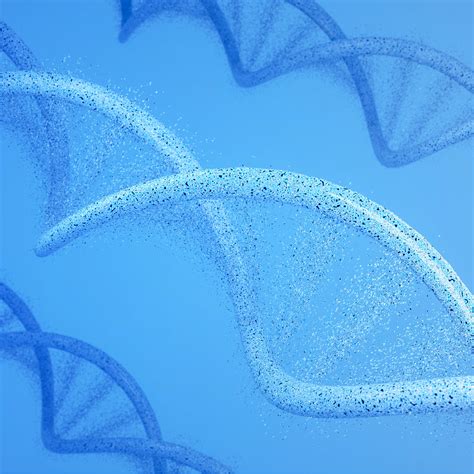 解码（上海）生物医药科技有限公司 产品中心