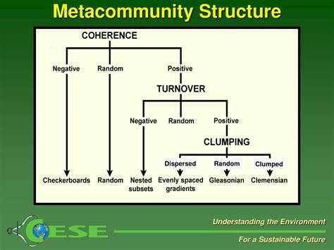 Ppt Metacommunity Structure In The Caribbean Perspectives Models And Data Powerpoint