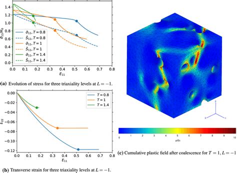 typical computation results for the r1 microstructure download
