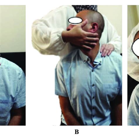 Deep Neck Flexor Muscles Strengthening Exercises Download Scientific Diagram