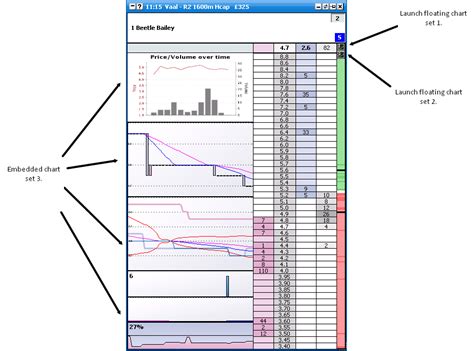 In The Below Image You Can See One Possible Configuration Of The In Chart Column Setting