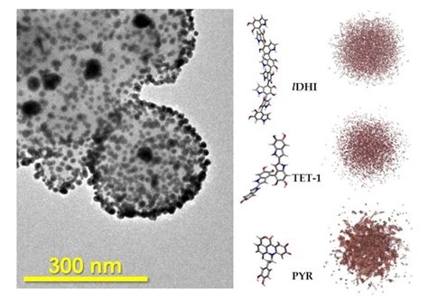 Molecular Dynamics Simulations Of Polydopamine Nanospheres Structure Based On Experimental Evidence