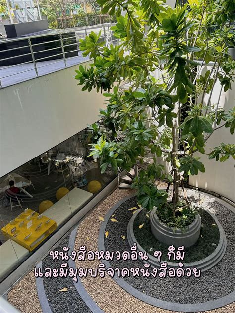 ชวนมาอ่านหนังสือสุดชิลที่ Maruey Library 📚 แกลเลอรีที่โพสต์โดย