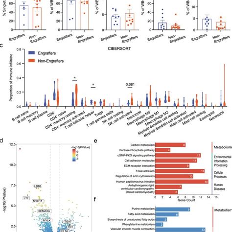 The Overview Of Tumor Immune Microenvironment And Transcriptome Download Scientific Diagram