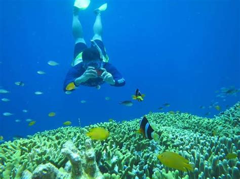 14 Best Snorkeling Spots In Malaysia
