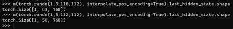 Is It Possible To Train Vit With Different Number Of Patches In Every Batch Non Square Images