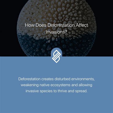 How Does Deforestation Impact Water Cycles → Question