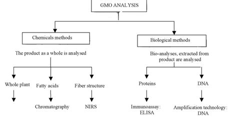 Classification Of Methods For Gmo Analysis Adapted From Taverniers Et Download Scientific