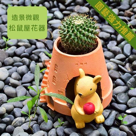 新作部屋 微景松鼠花盆屋花器 B P187 185公分148公分高12公分 生活中的小樂趣 多彩裝飾 Pchome 24h購物