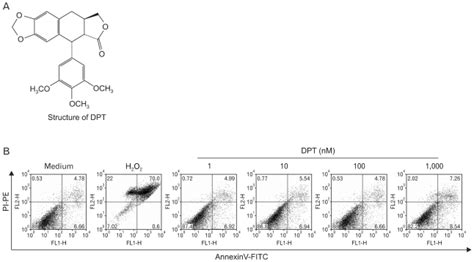 Dpt Is Not Cytotoxic To Dcs Chemical Structures Of Download