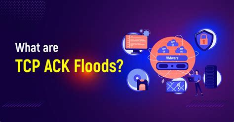 What Are Tcp Ack Floods Prophaze Blog