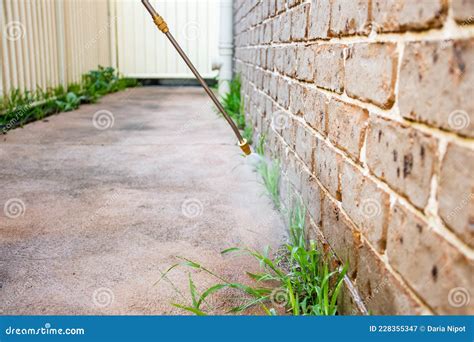 Spraying Weed Killer Herbicide To Control Unwanted Plants And Grass On