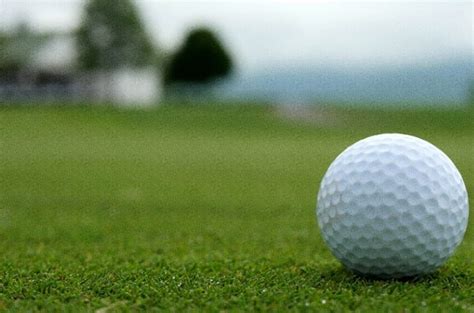 부산 스크린골프임대 골프연습장 사상에 위치 네이버 블로그