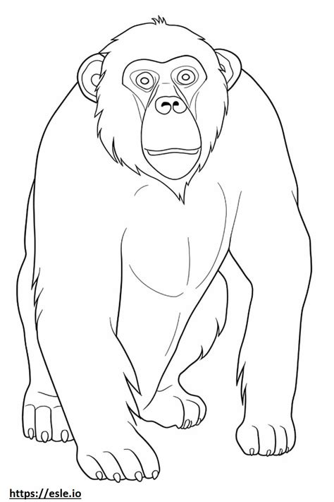 Bonobo Kawaii Para Colorir