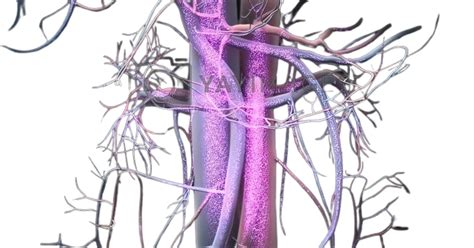 Electrolyte Tests Healthcare Nt Sickcare