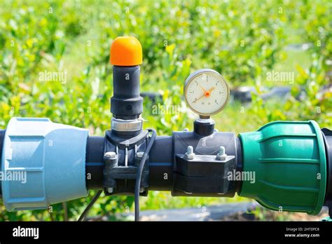 Close Up Of The Berries Farm Drip Irrigation System Control Components Stock Photo Alamy