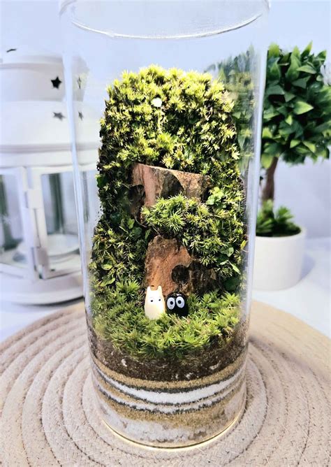 [부산]나만의 작은 정원 테라리움 원데이클래스 솜씨당