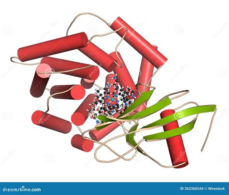 Intrinsic Factor If Protein 3d Illustration Stock Illustration