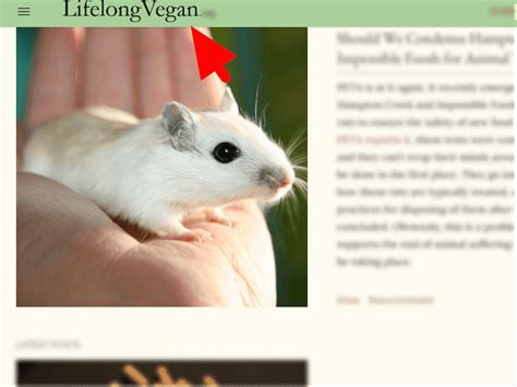 soho theme display blog logo image in sticky bar irsah indesigns blog