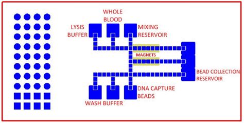 Figure 1 From Development Of A Digital Microfluidic Platform For Point