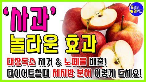 [사과의 놀라운 효능 8가지 And 부작용] 비만 억제 숙변 배출 살 빠지는 사과 이렇게 드세요 항산화 보물창고 당뇨 심장