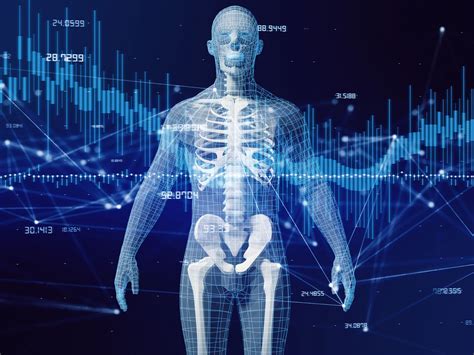 Assi E Piani Del Corpo Umano Fisioscience
