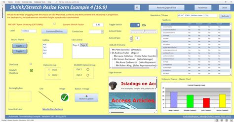 Automatic Form Resizing 4