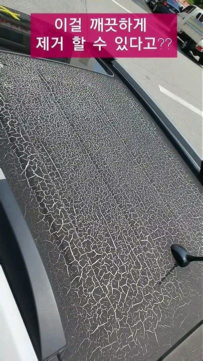 제거하기 힘든 최악의 루프스킨 제거 작업 루프스킨제거 랩핑제거 루프스킨제거비용 Youtube