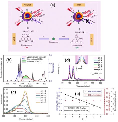 A Schematic Description Of The Developed Nanoprobe And Its Working