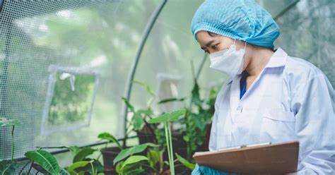 농업 온실에서 성장 식물을 연구하기 위해 일하는 생물학 과학자 식물학 실험실에서 자연 유기 과학 기술 또는 생명 공학 식품 산업을 위해 야채를 검사하는 사람들 사진