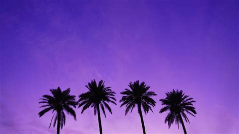 ‎moamel Khion مؤمل خَيون‎ Moamelkhion • Instagram Photos And Videos