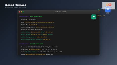 Dhclient Command Linux Complete Guide To Dynamic Host Configuration