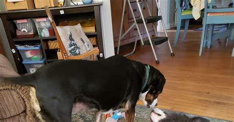 Janie Junebug Righting And Editing Its All Fun And Games Till Somebodys Eye Gets Poked Out