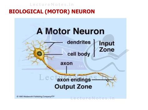 Note For Artificial Neural Network Ann By Aman Kumar Lecturenotespdf Artificial