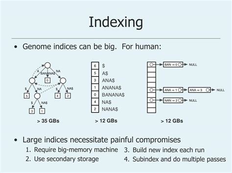 Ppt Short Read Mapping On Post Genomics Datasets Powerpoint