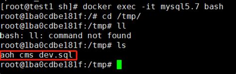 docker安装MySQL后导入sql文件 謙謙 博客园