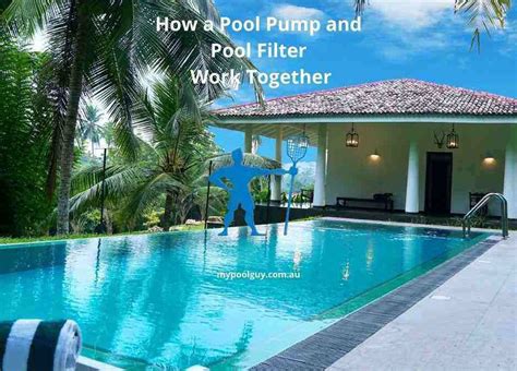 How A Pool Pump And Pool Filter Work Together My Pool Guy