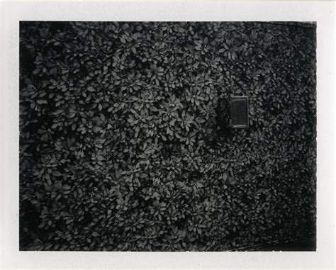 Constructed Tree Image Courtesy Of The Artist