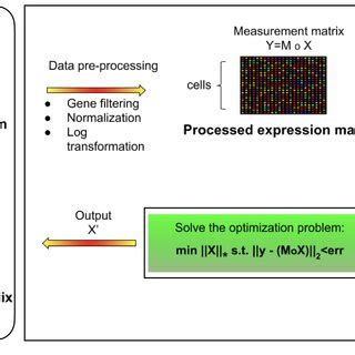 PDF McImpute Matrix Completion Based Imputation For Single Cell RNA Seq Data