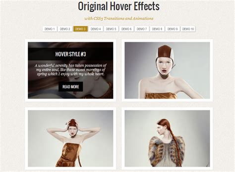 Original Hover Effects Themecot