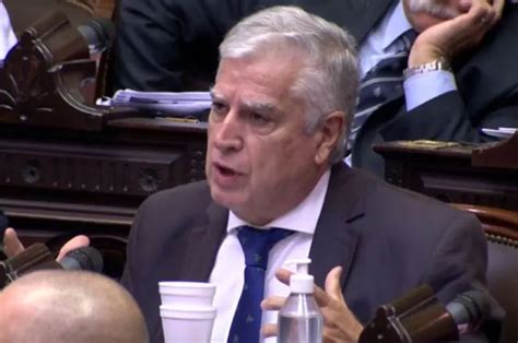 Ley Ómnibus Desconfianza Y Hartazgo En La Oposición Dialoguista Por