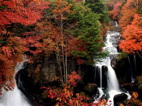 日光の紅葉 鬼怒川温泉あさやホテル公式