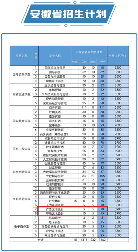 安徽国际商务职业学院艺术类招生计划