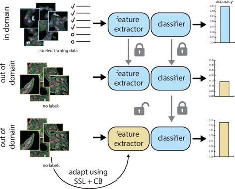 Figure 1 From Bridging Generalization Gaps In High Content Imaging Through Online Self