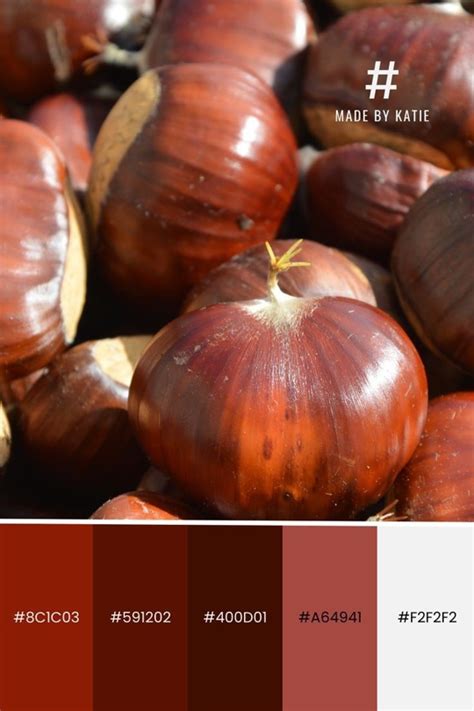 Палитра Цветовые схемы • Многообразная палитра для вашего творчества и вдохновения 2024