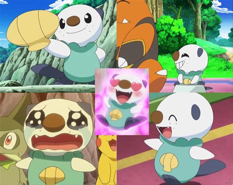 Pokemon Oshawott And Meloetta